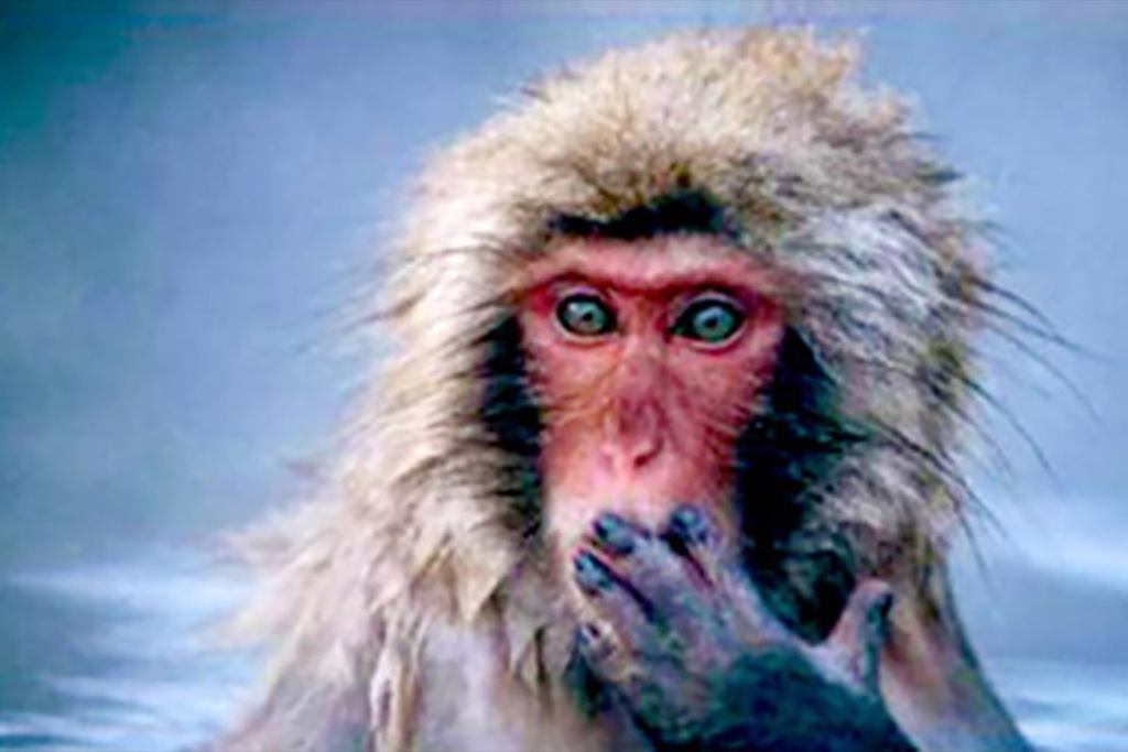 Oops, My Bad! 5 Ways Your Business Can Improve by Admitting to Mistakes