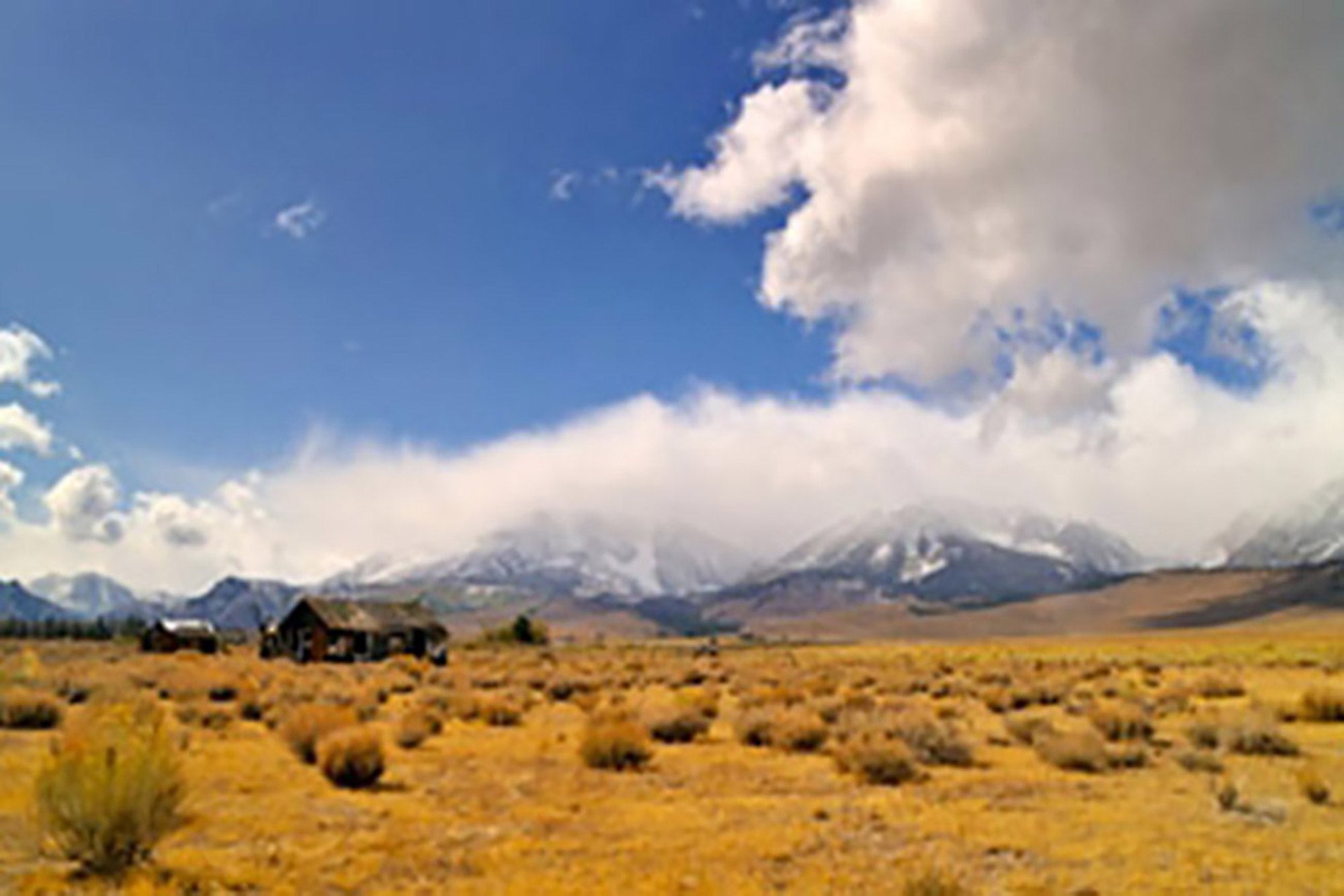 5 Companies to Watch in the Silicon Prairie