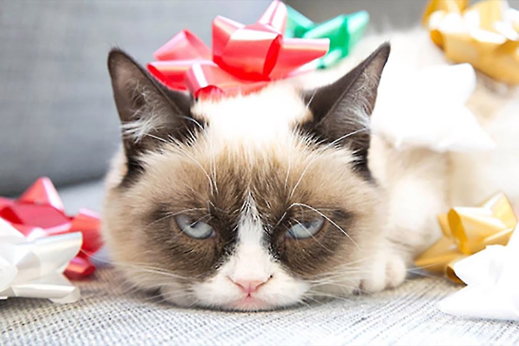 How to Harness the Power of Internet Memes for Your Business (Infographic)