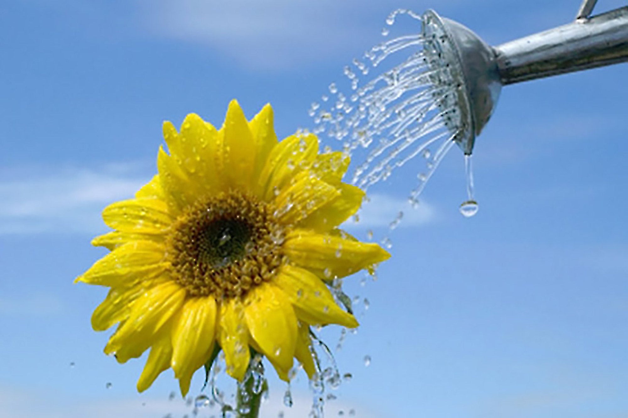 3 Ways to Re-Engage Your Employees