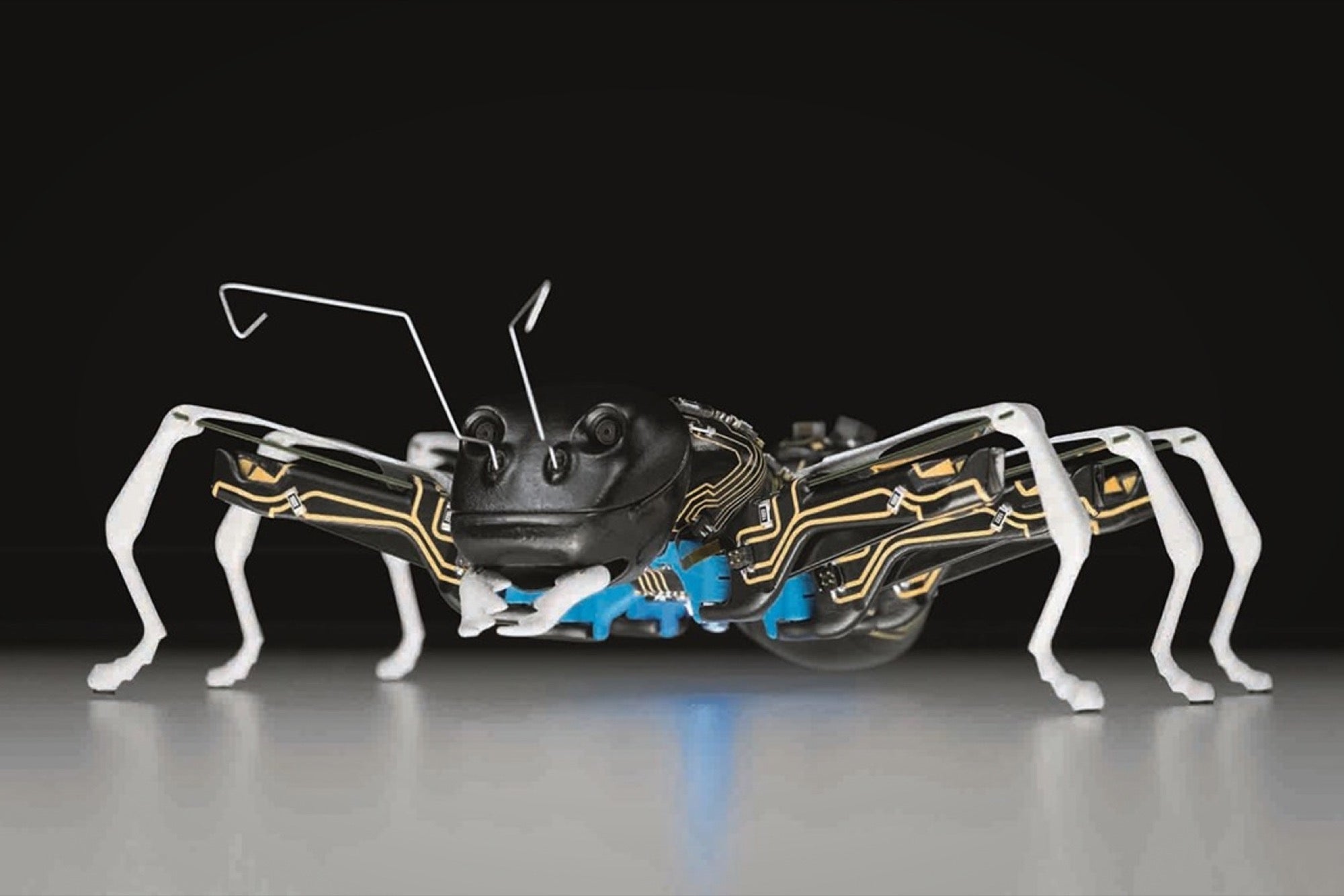 These Giant Robotic Ants Could One Day Replace Factory Workers