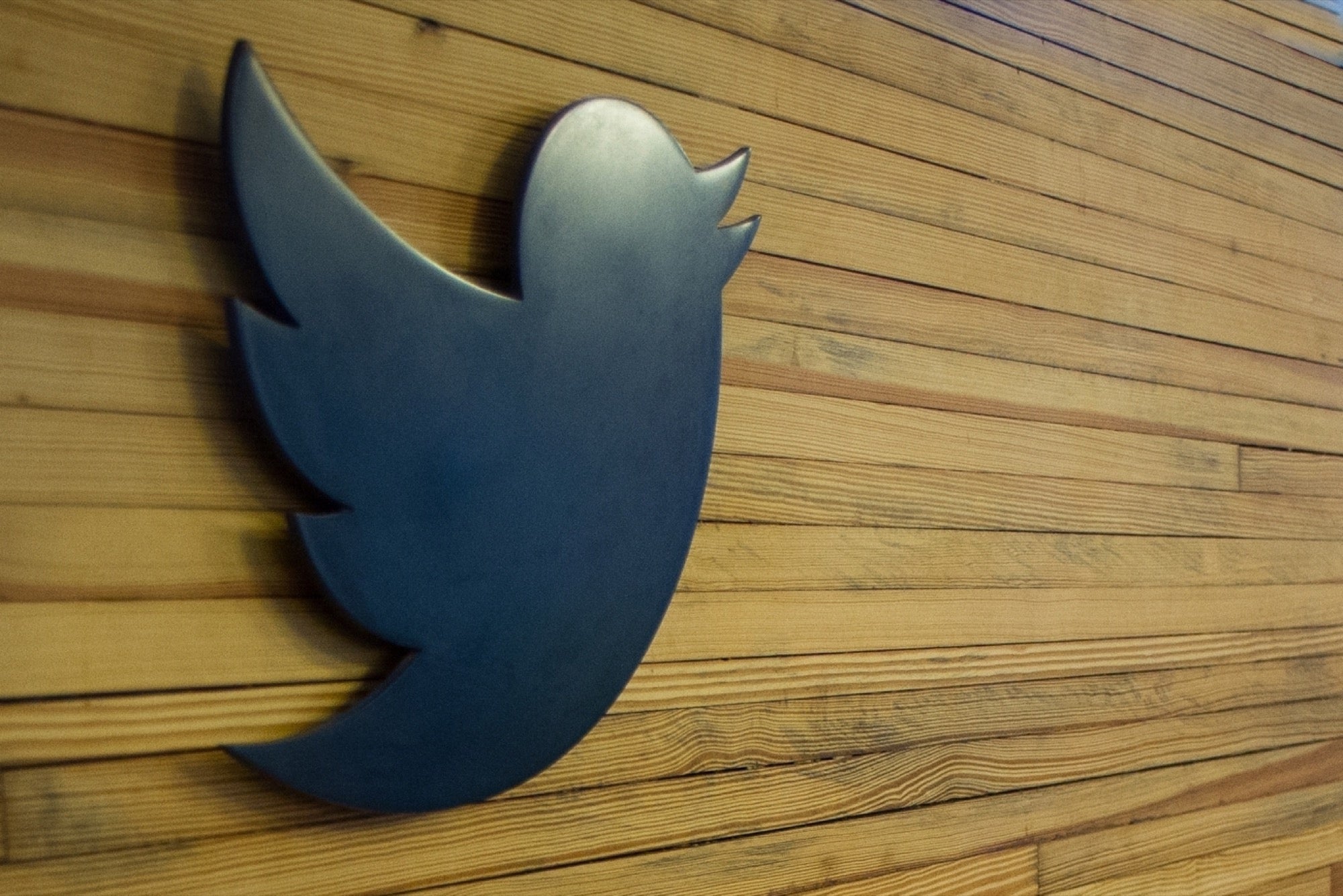 Is Twitter Big Enough to Be in Venture Capital?