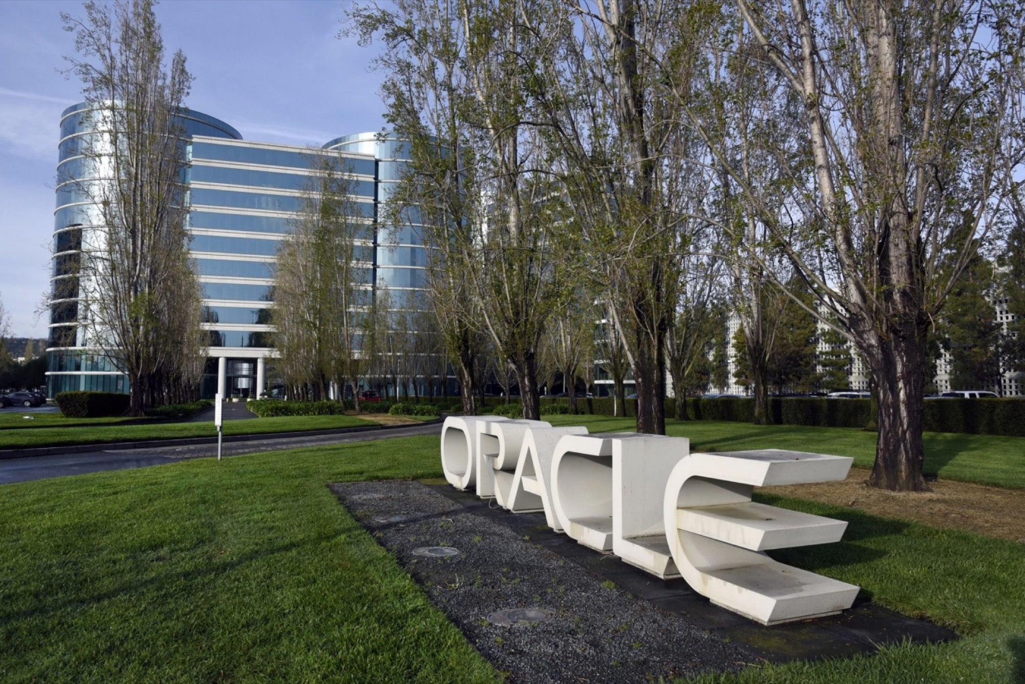 Oracle Co-CEO Says it Did Not Buy Sun Micro to Sue Google