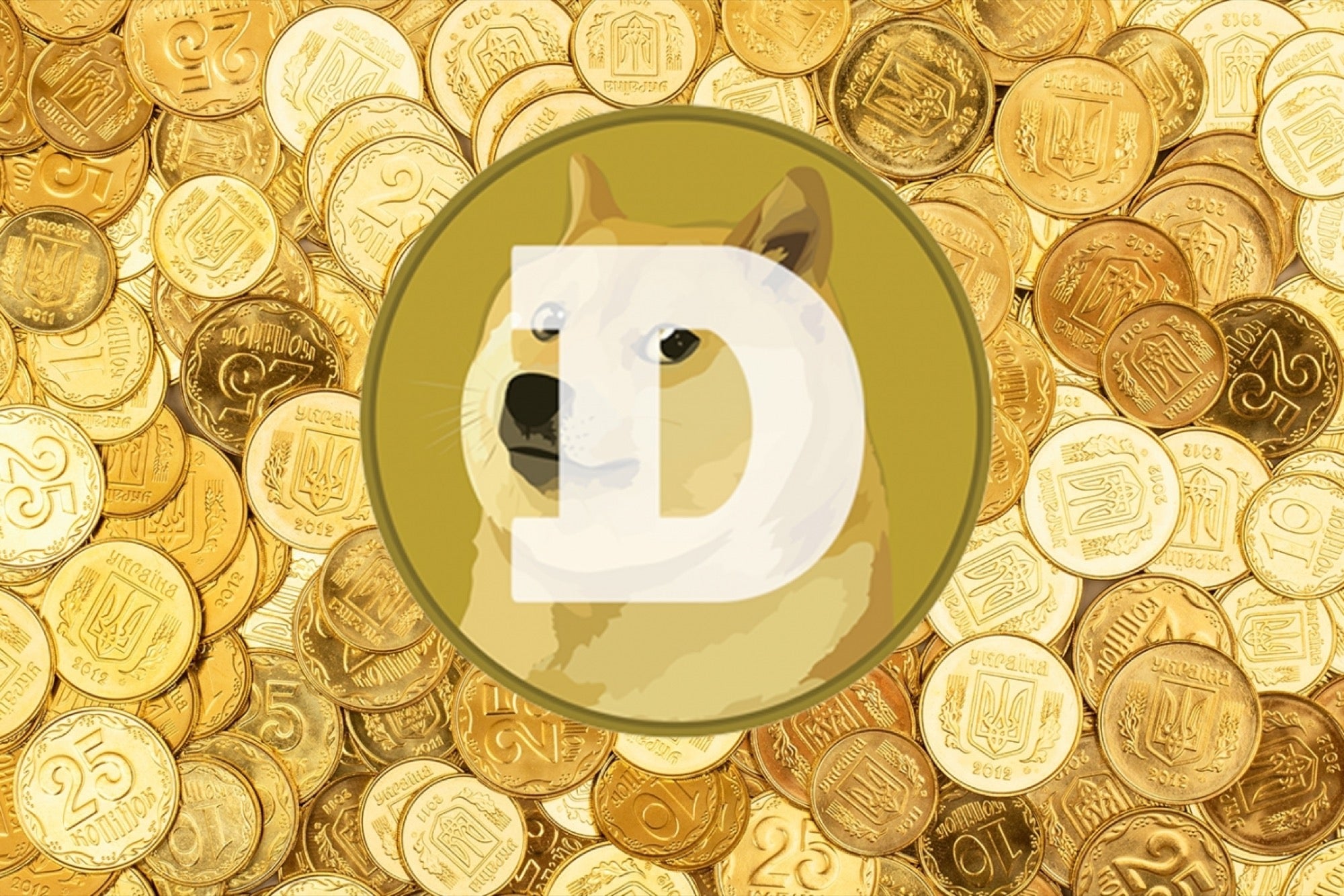 Insights From the Man Who Created a Digital Currency as a Joke That ...