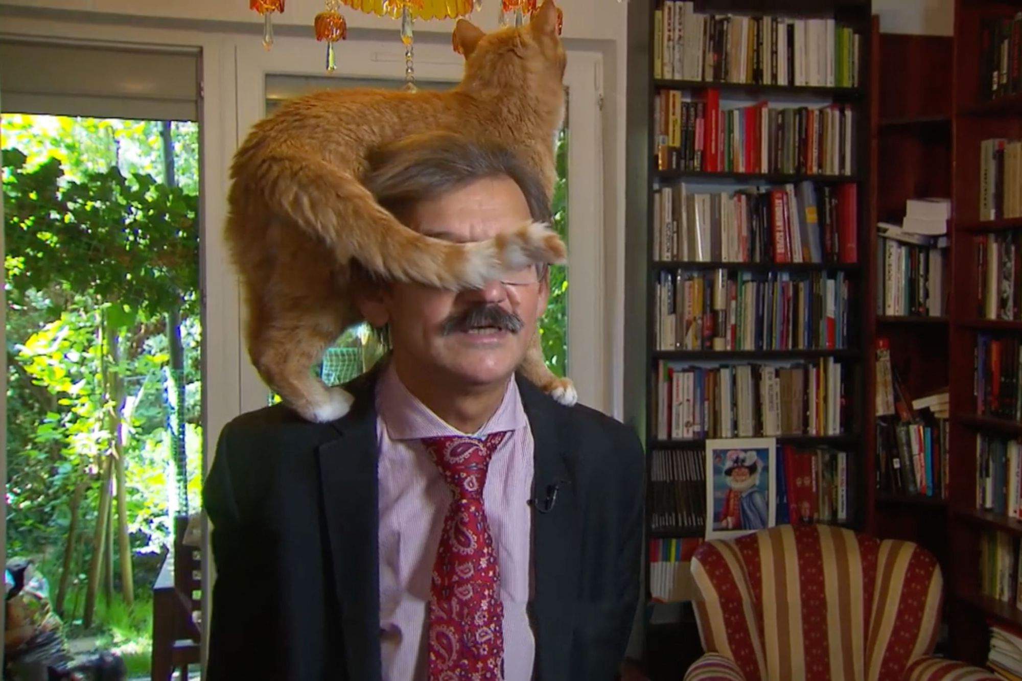 Children, Canines or Felines Interrupting Your Interview? 4 Pros ...