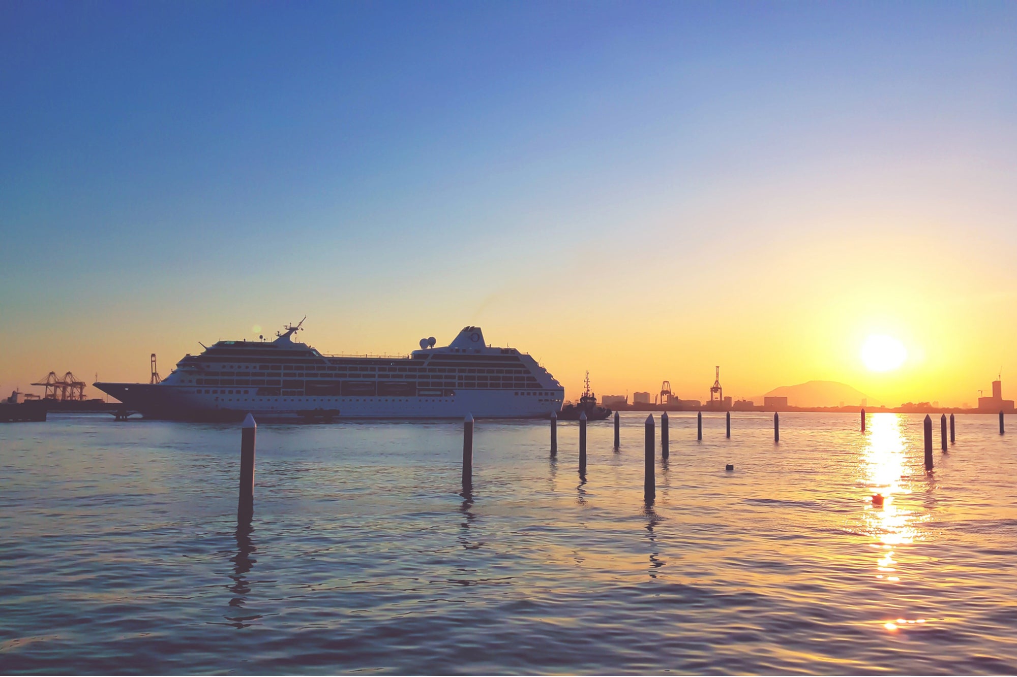 Selling Cruises During a Lockdown? Here's How One Travel Agent Does It.