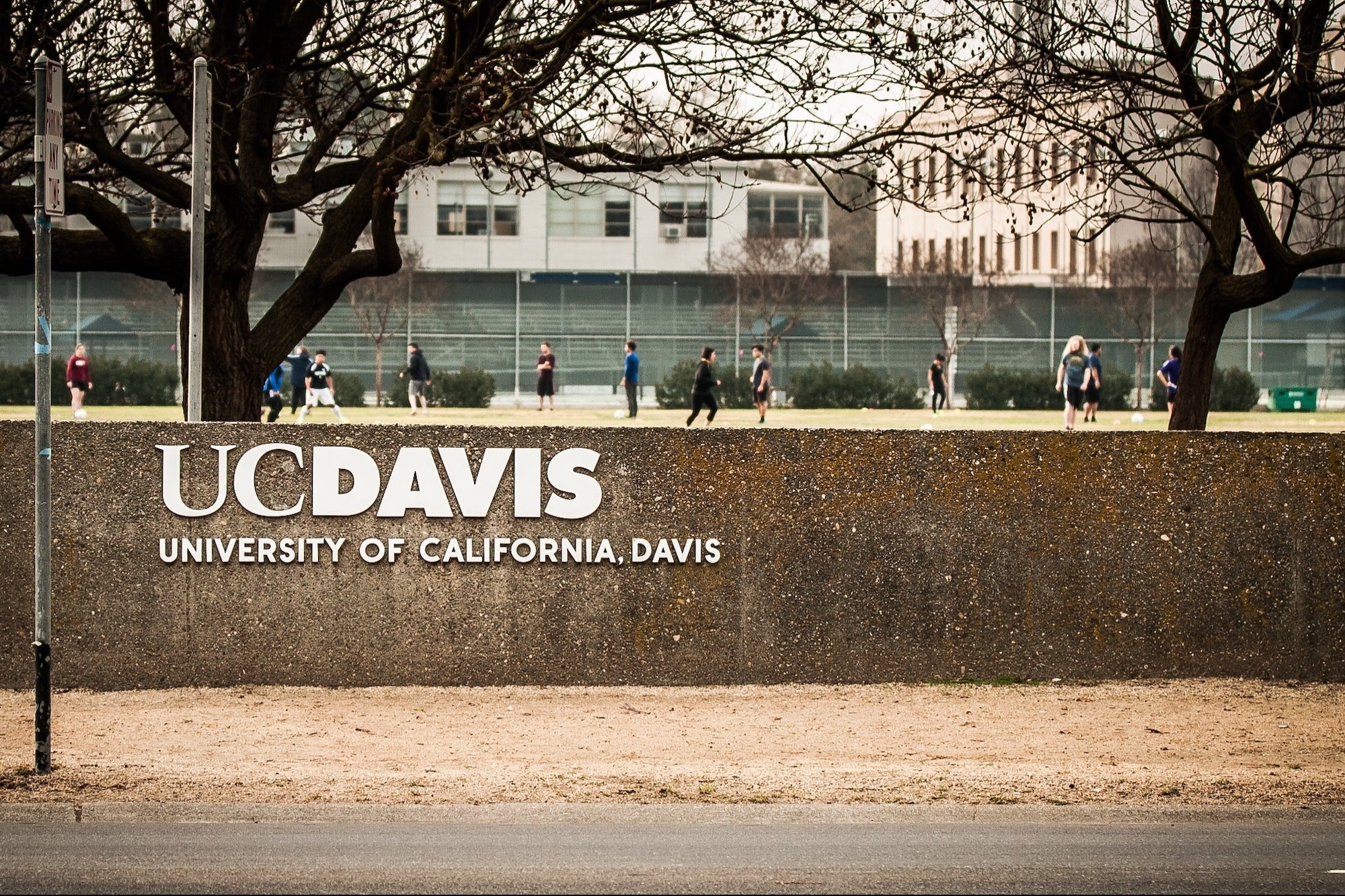 'Ghost Students' Are Stealing Thousands in Federal Aid