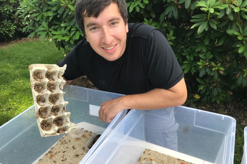 Millennial Dad's Cricket Side Hustle Nets $27,000 in a Month