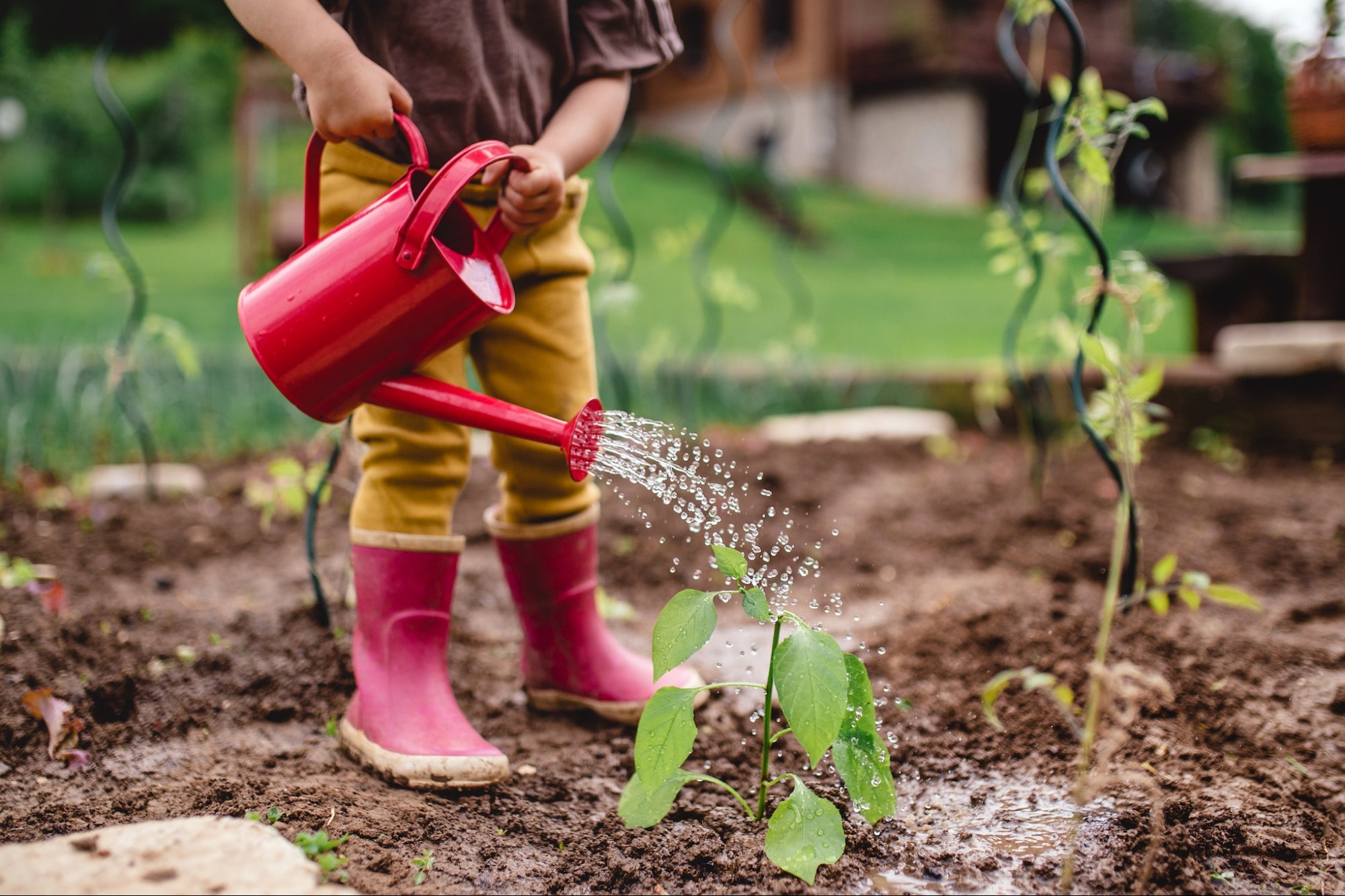 How Being the Middle Child Impacts Long-Term Success in Life