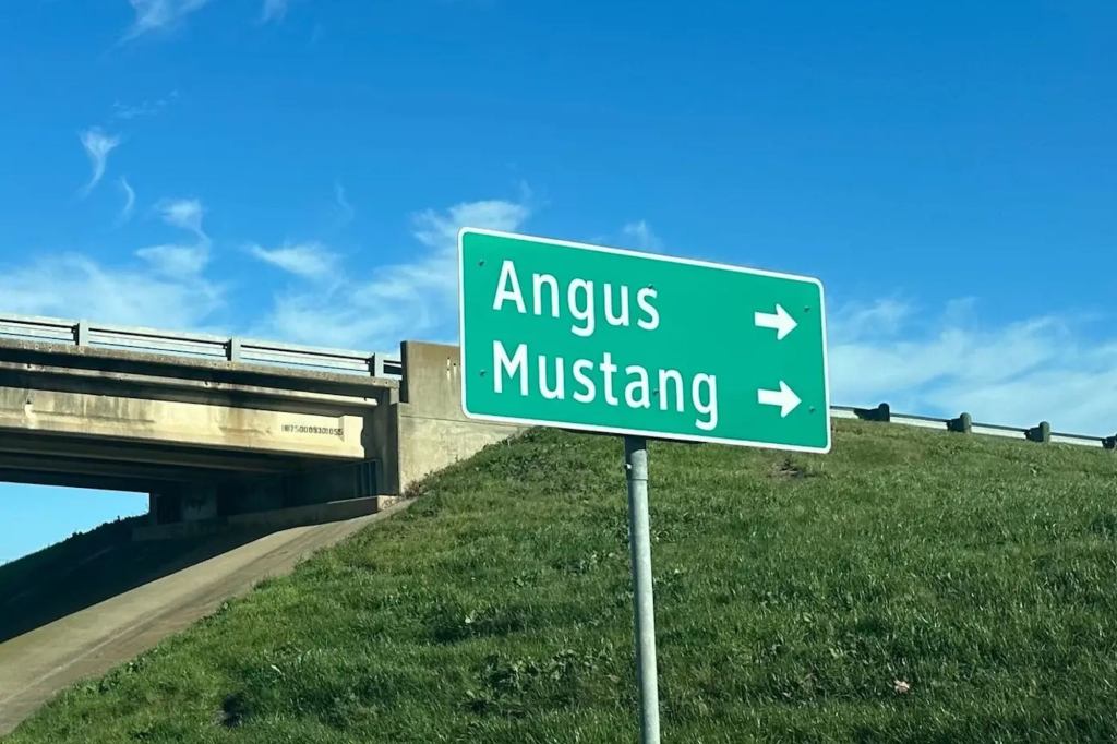 Photos: Mark Cuban Owns the Ghost Town of Mustang, Texas