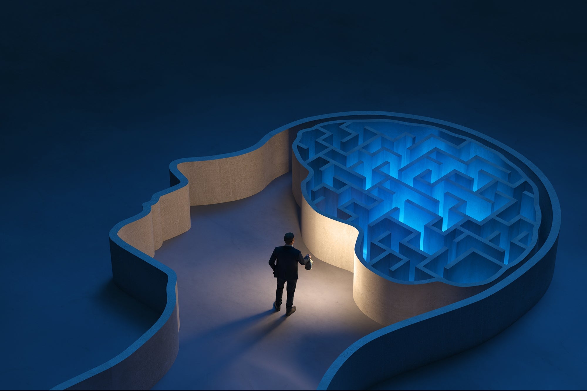 How to Use Left and Right Brain Strategies to Secure Funding For Your ...