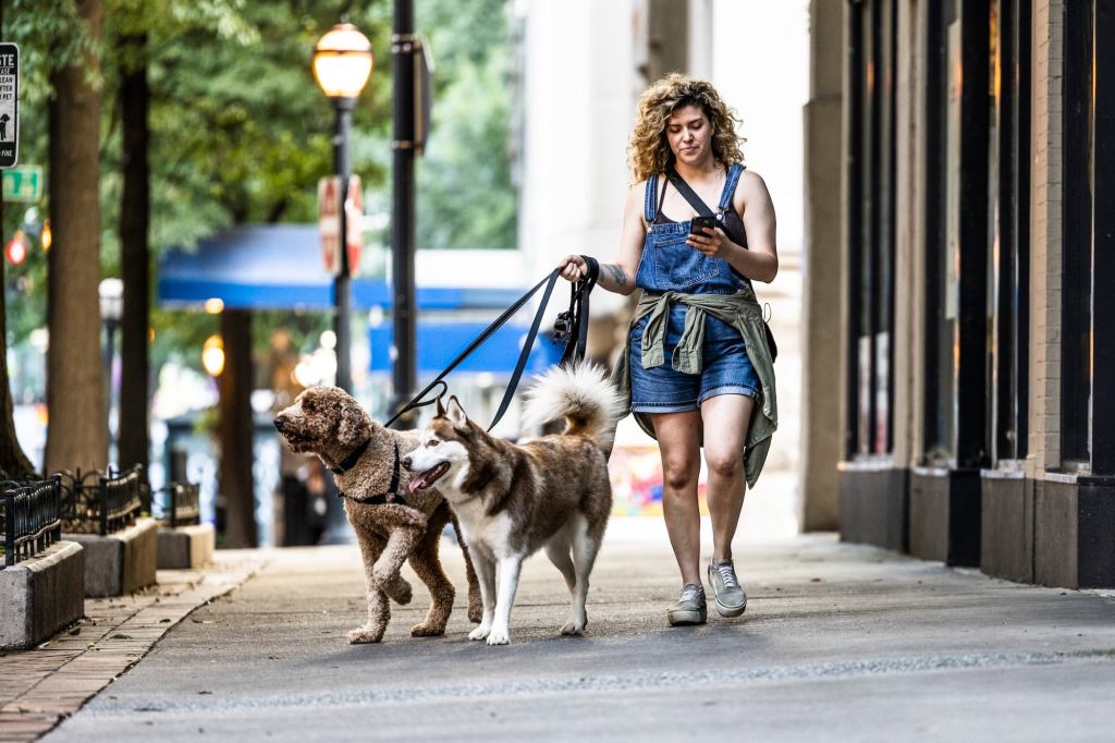 Top Side Hustle in Your City? Here's the Fastest-Growing Gig